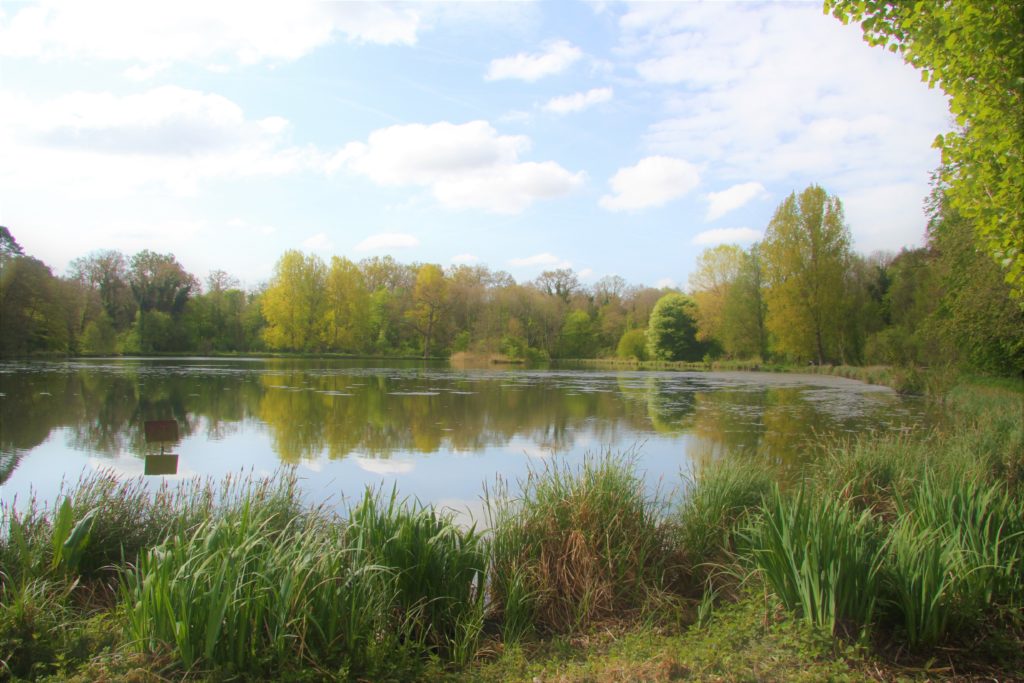 Accueil - Nous aimons la forêt de Compiègne